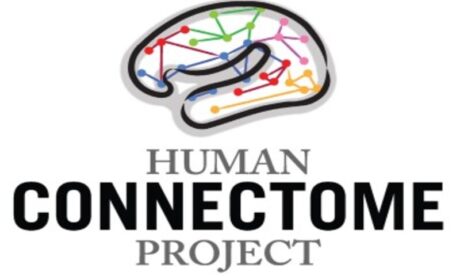 Human Connectome Project (HCP) چیست؟ - آکادمی آنلاین مهندسی پزشکی و هوش ...