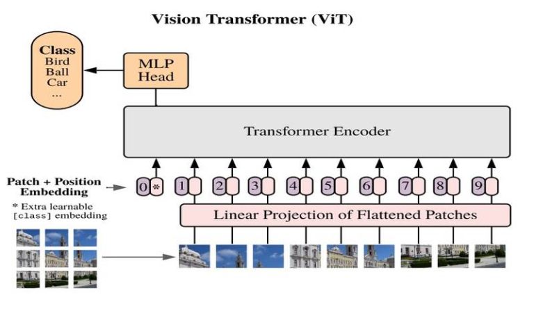 نحوه‌ی کار Vision Transformer (ViT) - آکادمی آنلاین مهندسی پزشکی و هوش مصنوعی